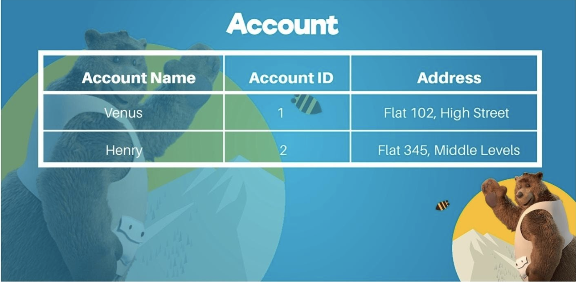 Understanding Salesforce Standard and Custom Objects | PhoneIQ